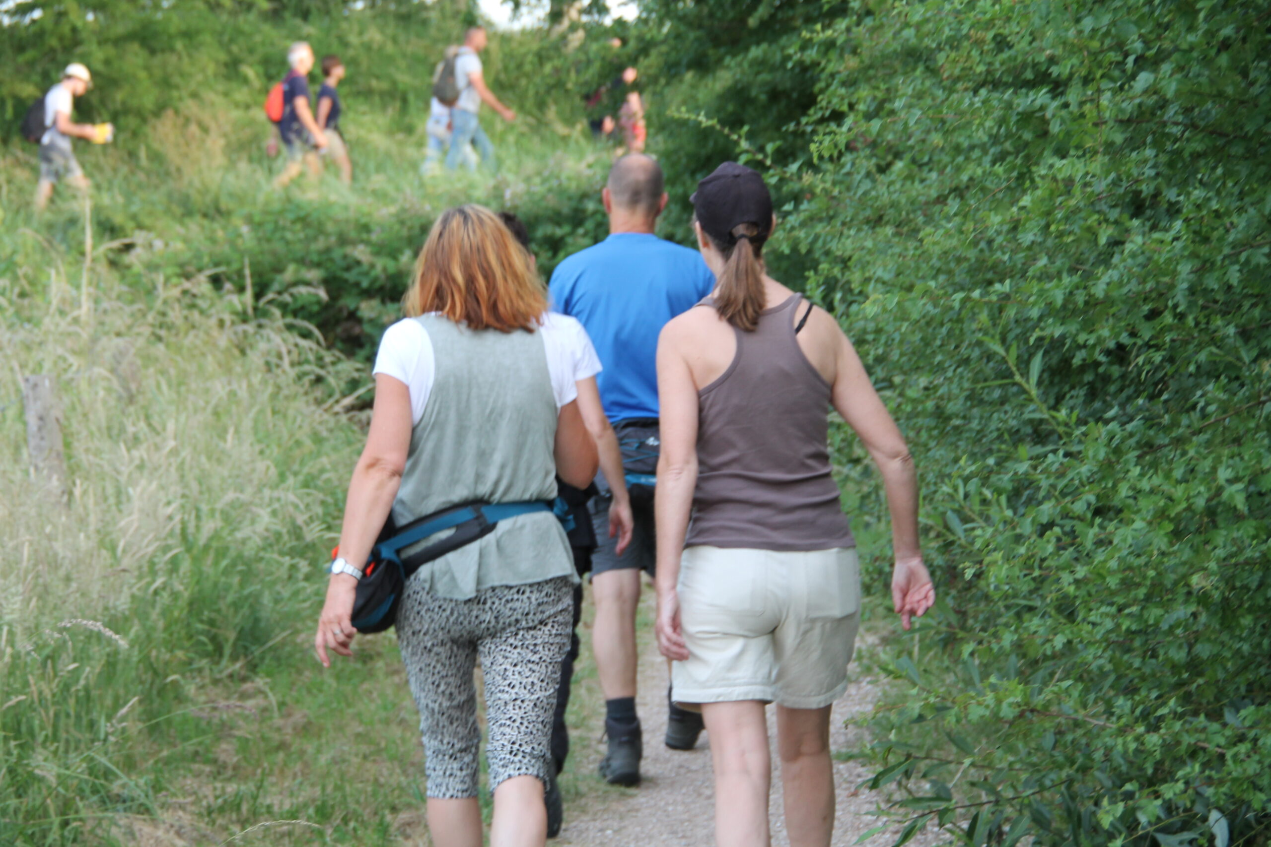 Komende zaterdag is 'Zak te Voet', de culturele zomerochtendwandeling ...
