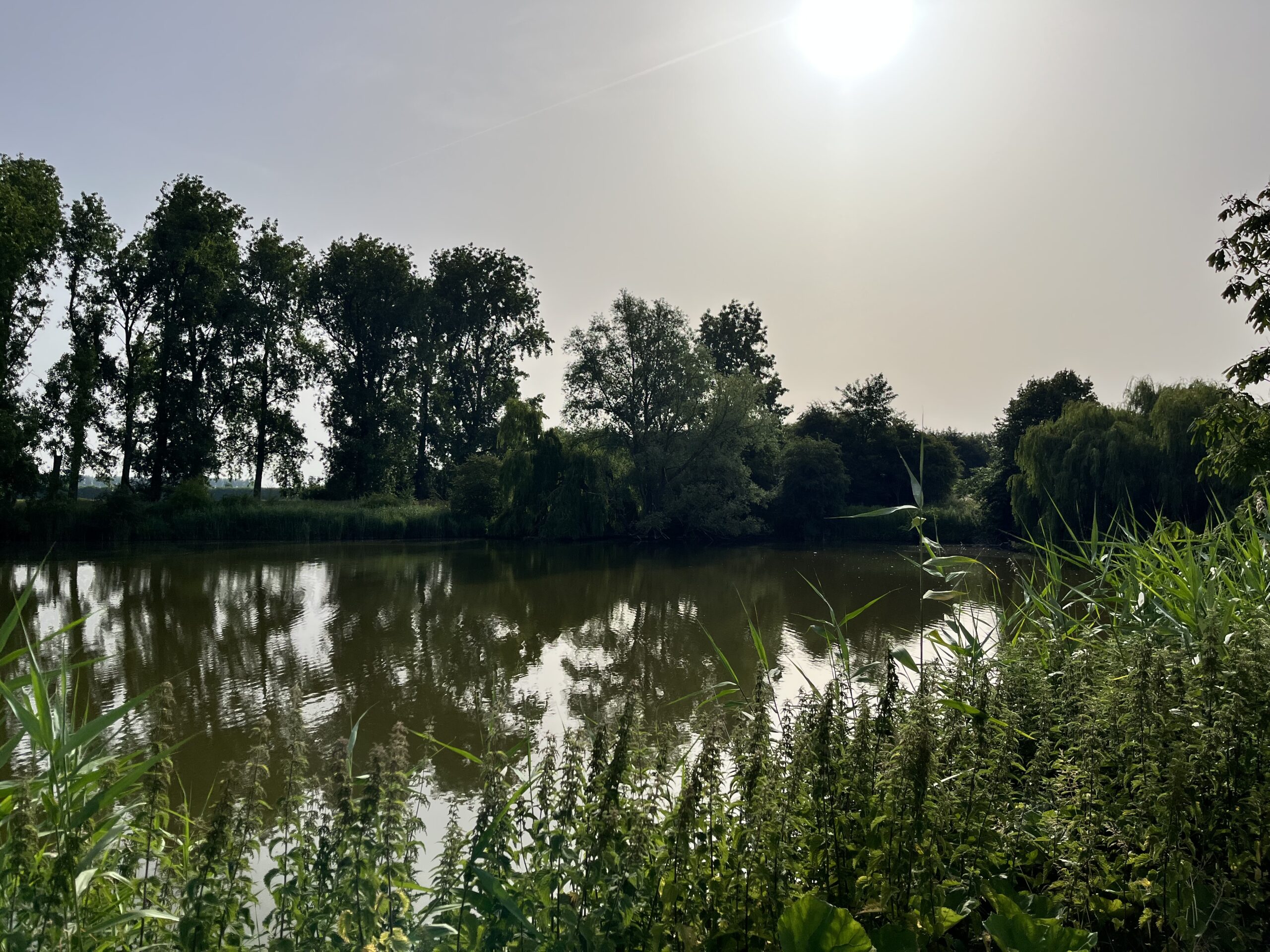 Komende zaterdag is 'Zak te Voet', de culturele zomerochtendwandeling ...